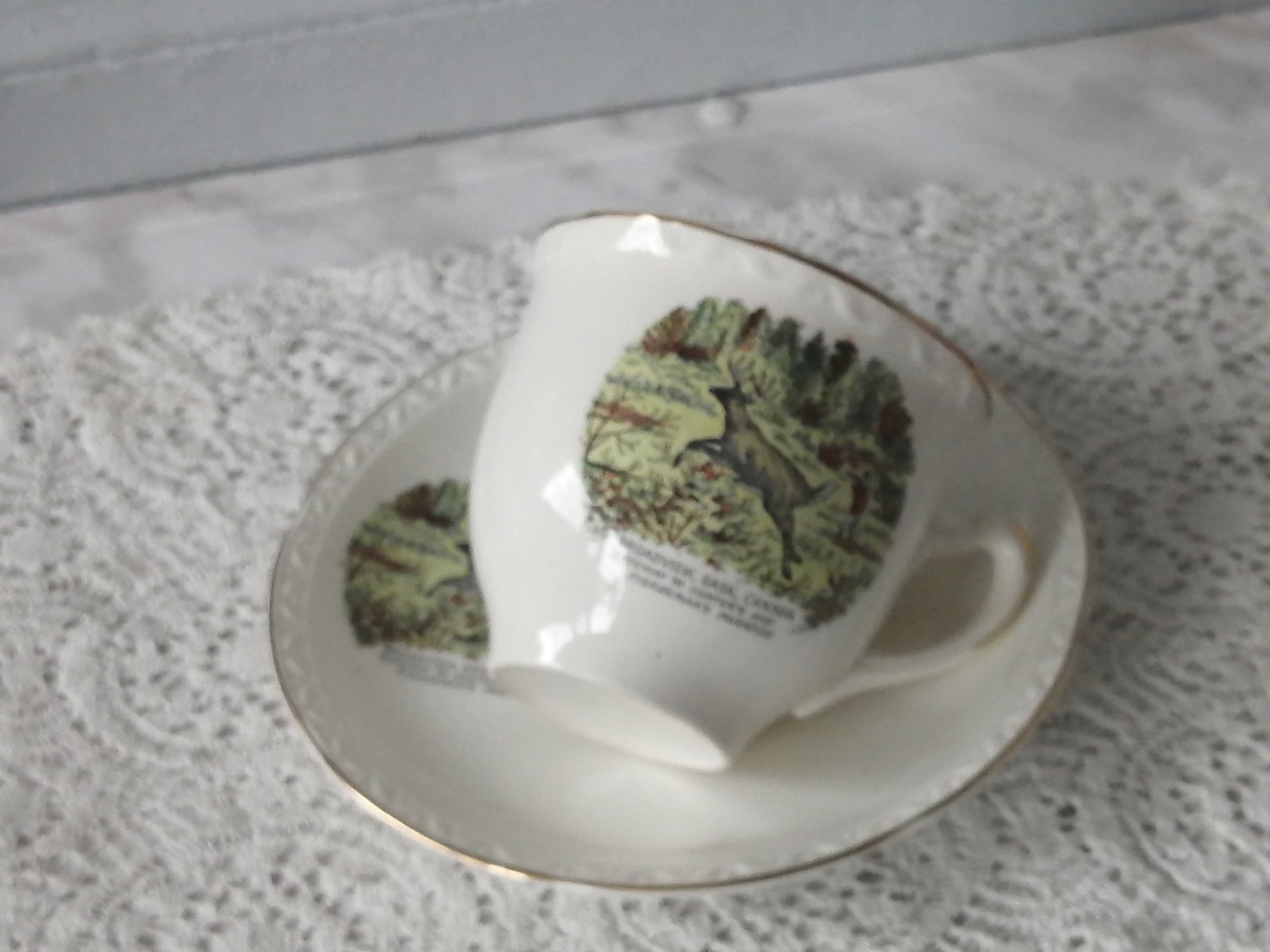 Weatherby Hanley Royal Falcon Ware Cup and Saucer Deer and Hunter 2-66 ...