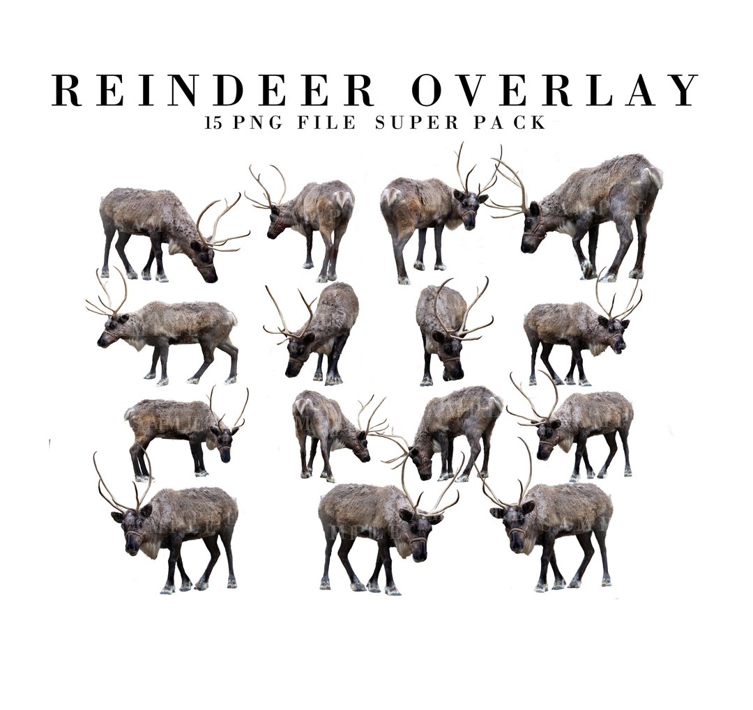 Reindeer Overlay Super Pack (15 Png Files) - Etsy