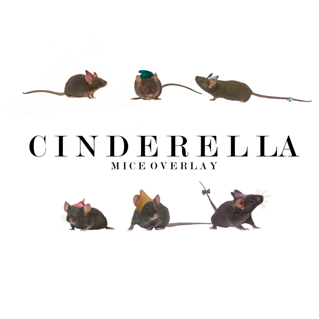 Cinderellas Mice Overlay - Etsy