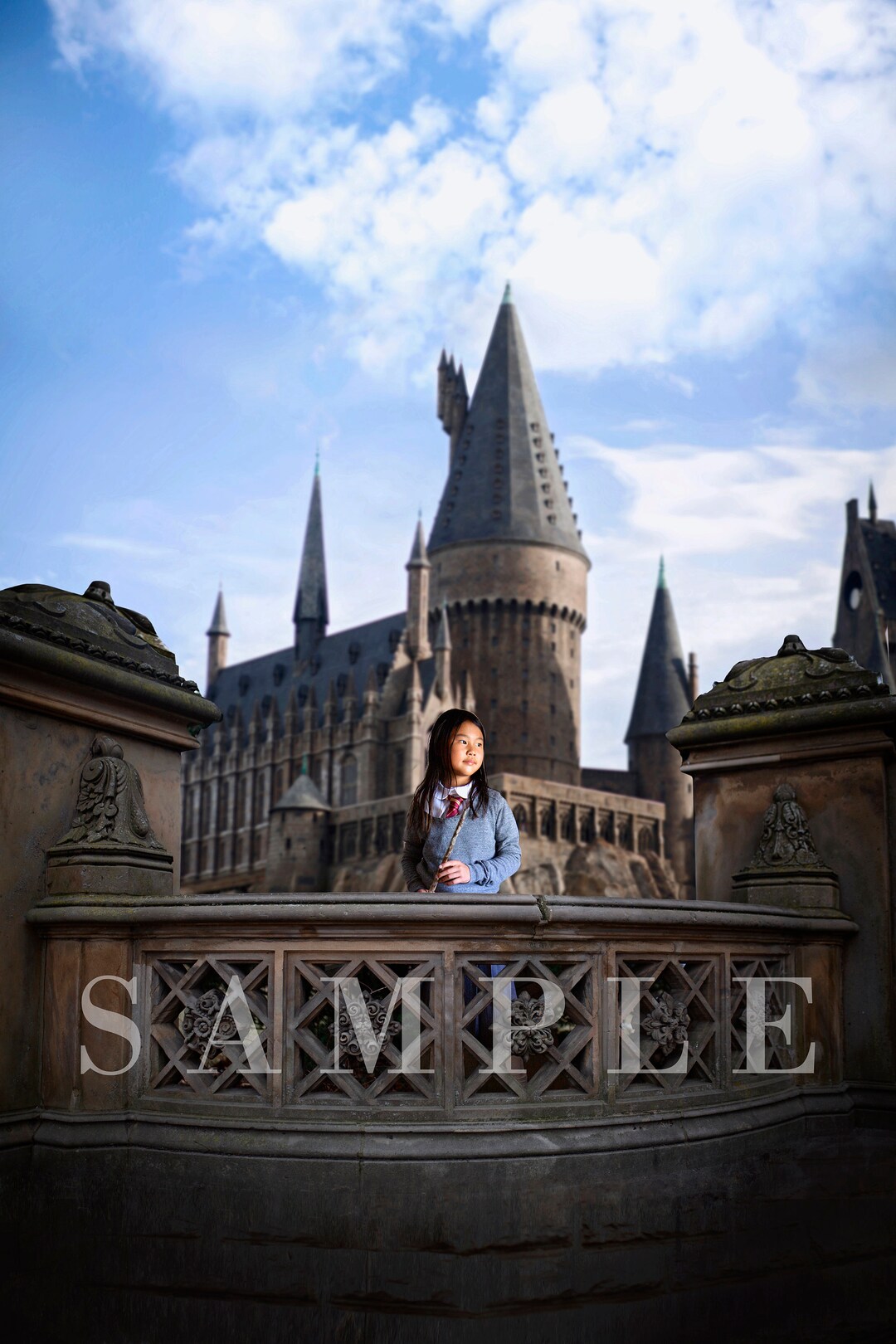 Hogwarts Digital Backdrop - Etsy