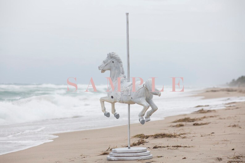 Broken Horse Digital Overlay | Etsy