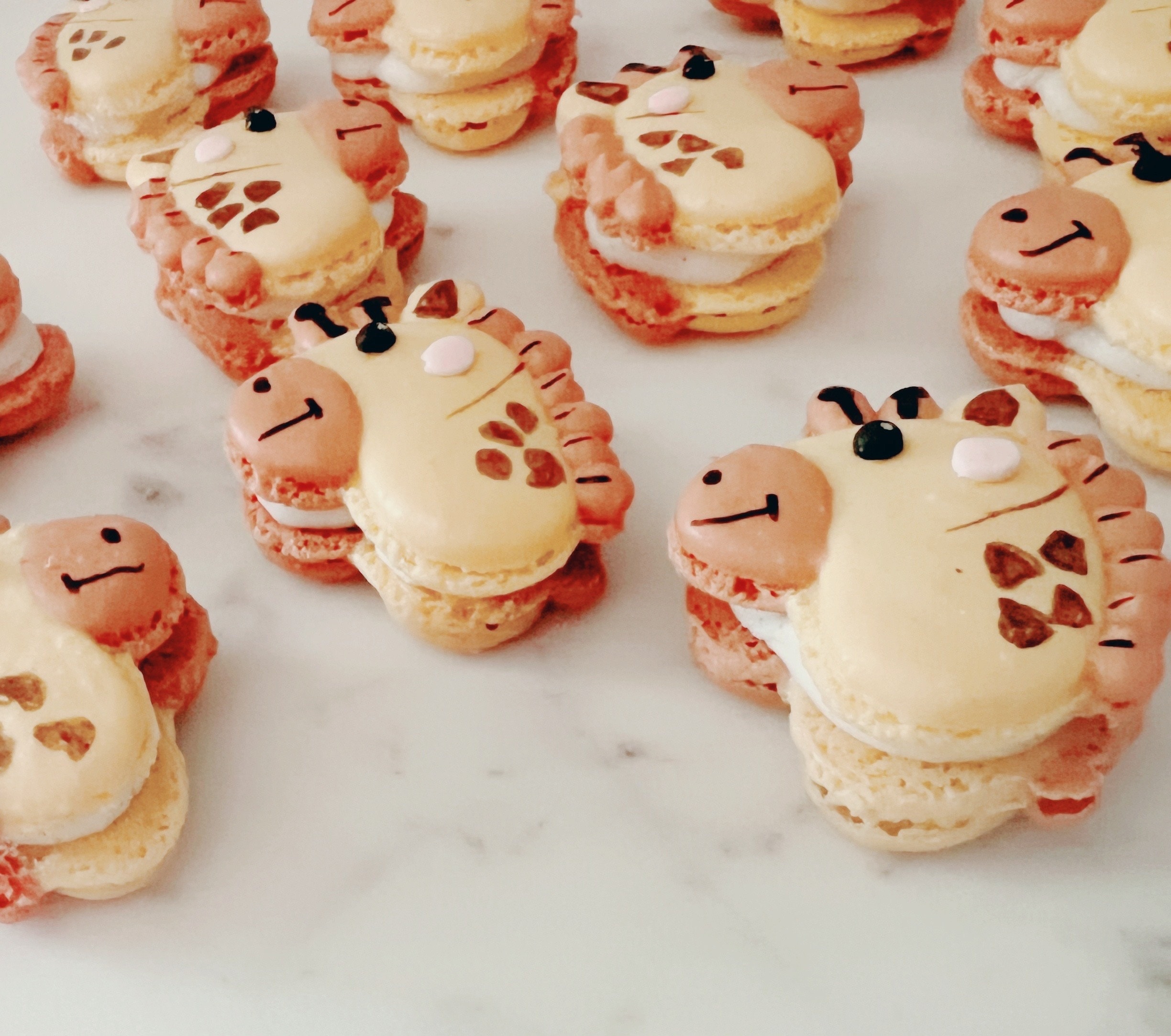 Giraffe French Macarons 5 10 15 20 25 - Etsy