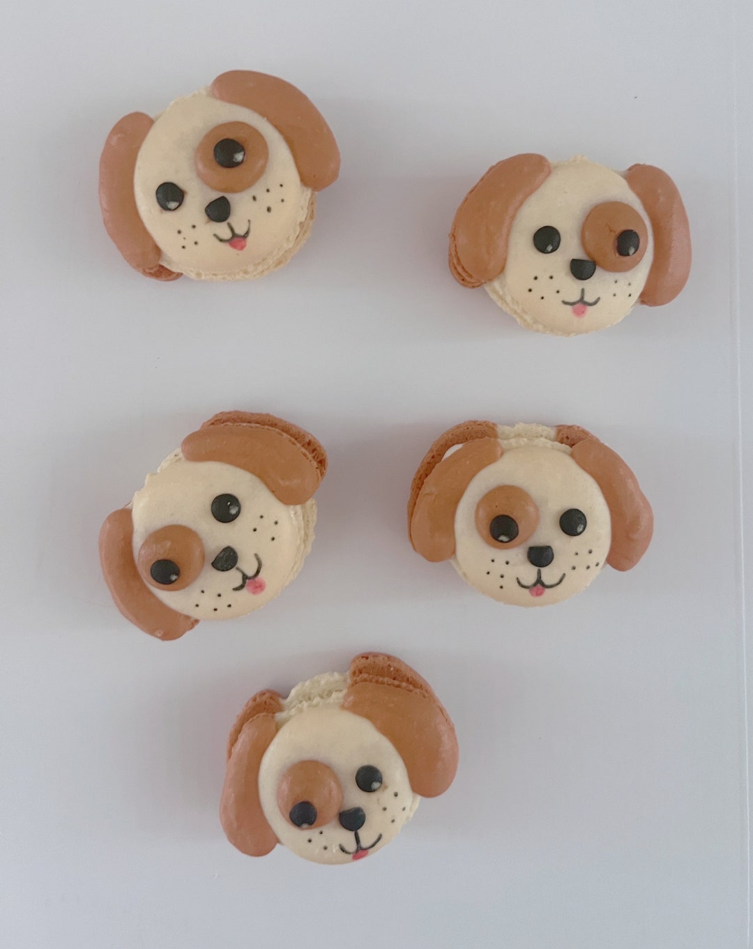 Dog Shaped French Macaron 5, 10, 15, 25 - Etsy