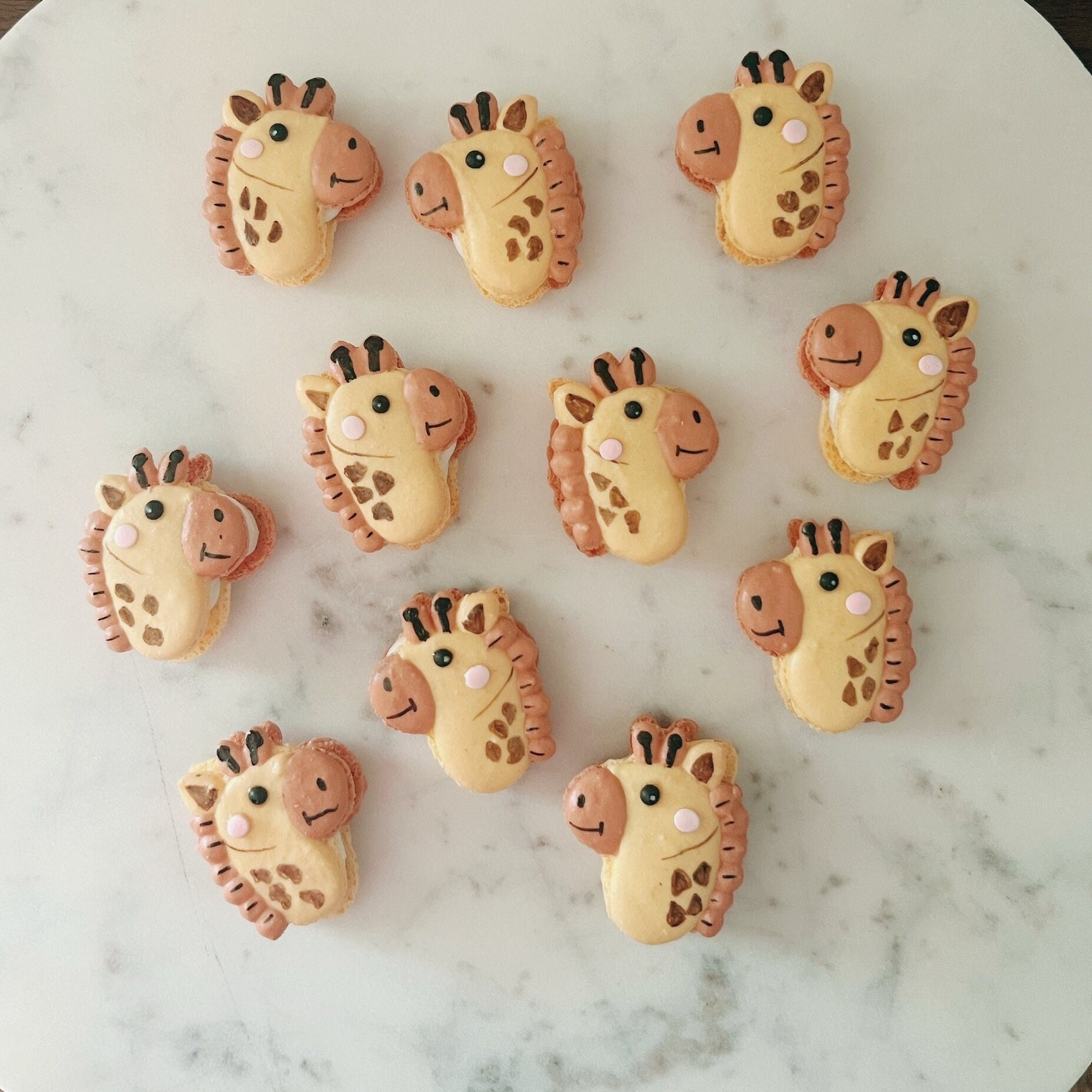 Giraffe French Macarons 5 10 15 20 25 - Etsy