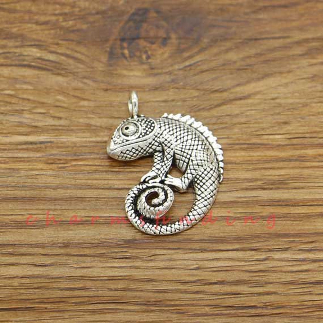6pcs Large Gecko Charms Desert Charms Antique Silver Tone 35x26mm ...