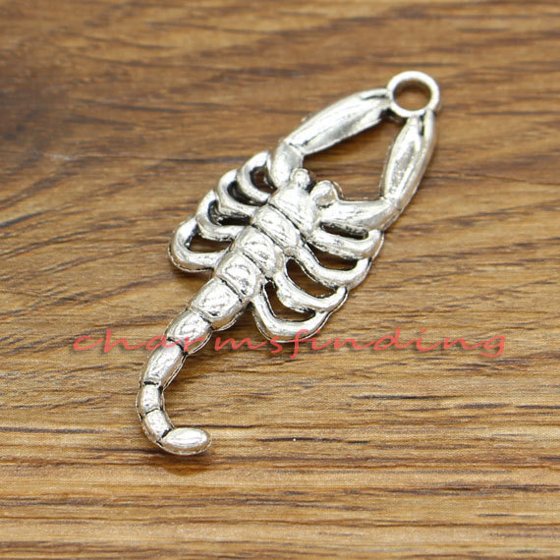 10pcs Scorpion Charms Desert Charms Antique Silver Tone - Etsy