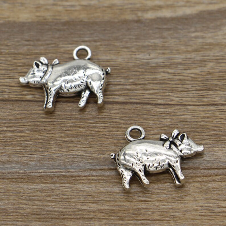 15pcs Pig Charms Prize Pig With Bow Charms Double Sided Charms - Etsy
