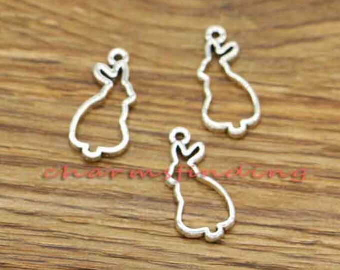 12pcs Rabbit and Photo Frame Charms Picture Charms Antique | Etsy