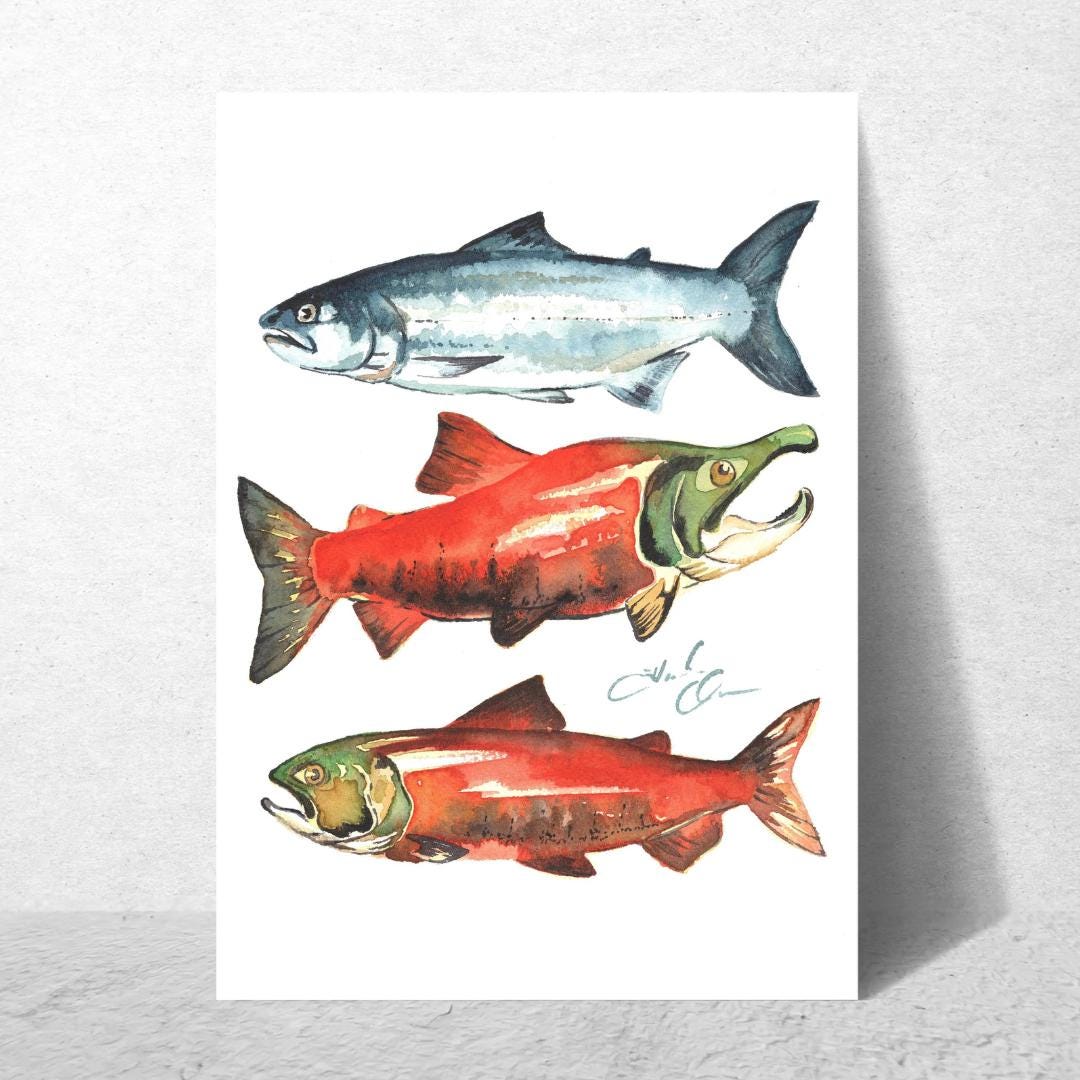 Salmon Spawning Watercolor Print - Etsy