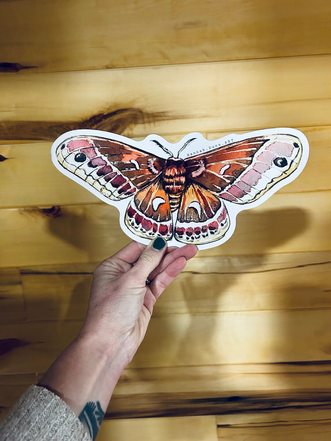 Moth Car Magnet - Etsy