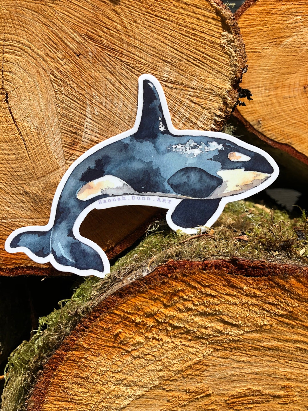 Vinyl Orca Whale Watercolor Decal, Die Cut, Sticker, Wildlife, Pacific ...
