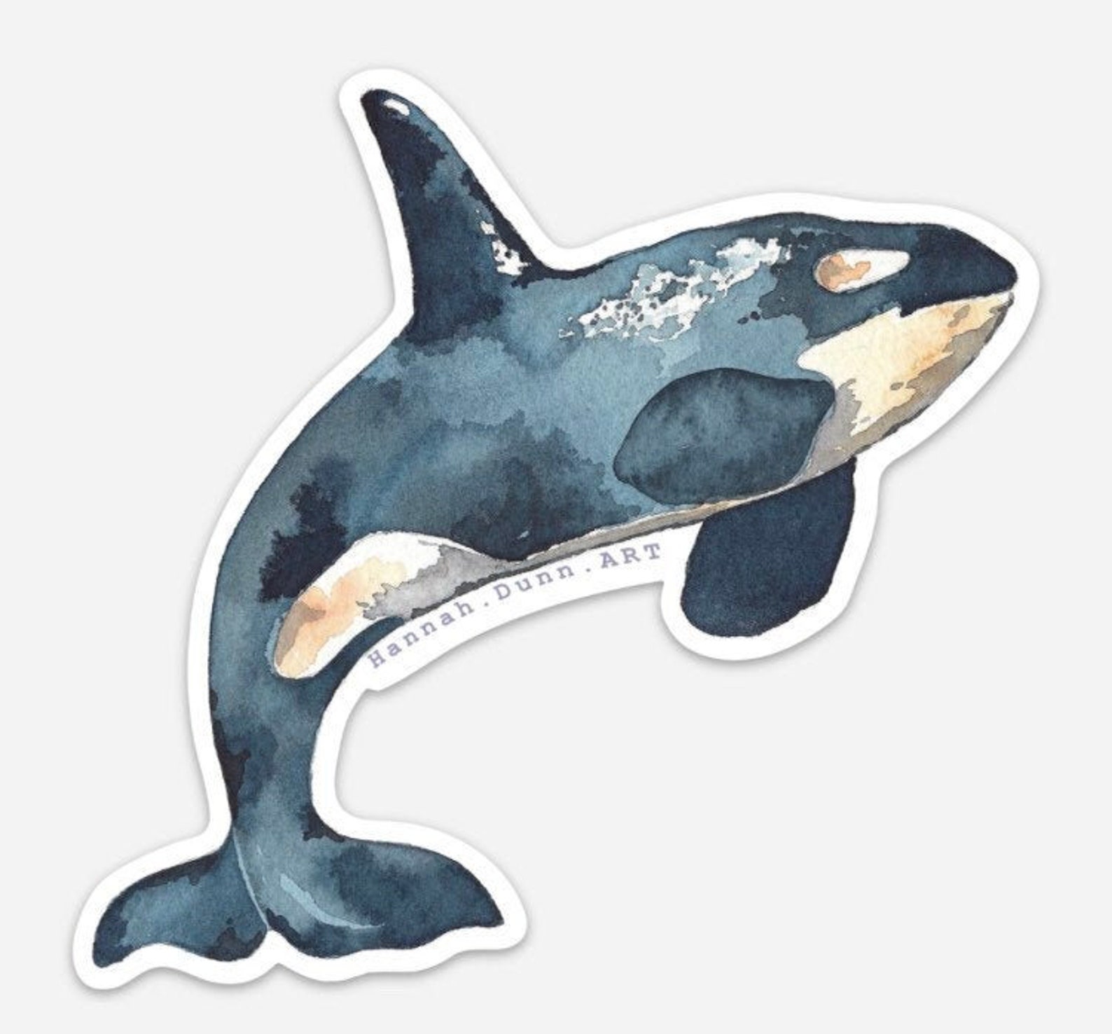 Vinyl Orca Whale Watercolor Decal Die Cut Sticker Wildlife - Etsy