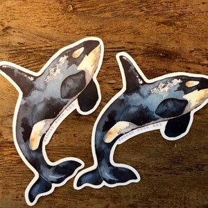 Vinyl Orca Whale Watercolor Decal, Die Cut, Sticker, Wildlife, Pacific ...