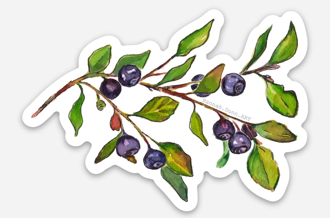 Huckleberry Sprig Sticker - Etsy