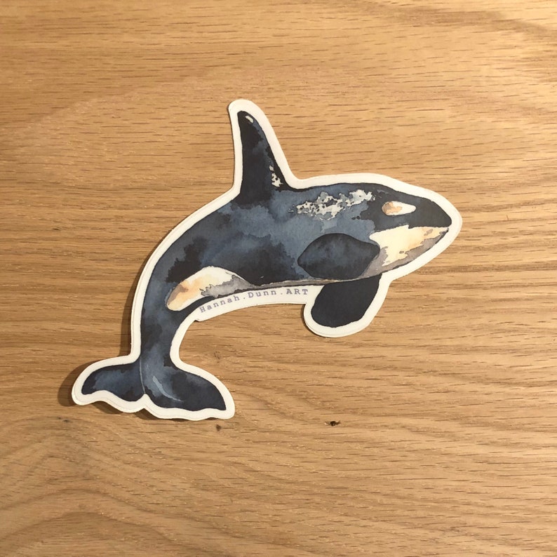 Vinyl Orca Whale Watercolor Decal Die Cut Sticker Wildlife - Etsy
