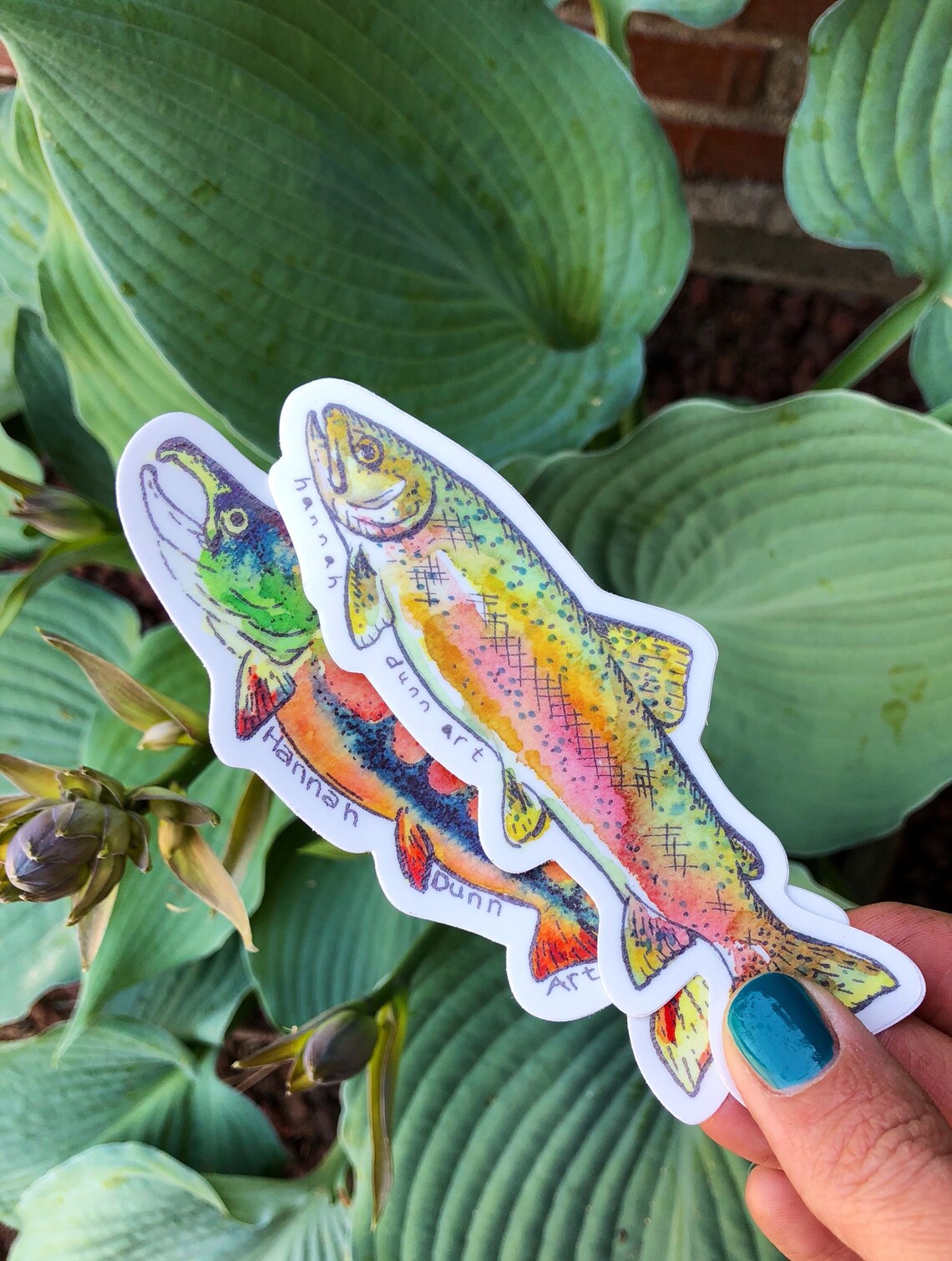 Vinyl Rainbow Trout Decal Pnw Car Decal Die-cut Fishing | Etsy