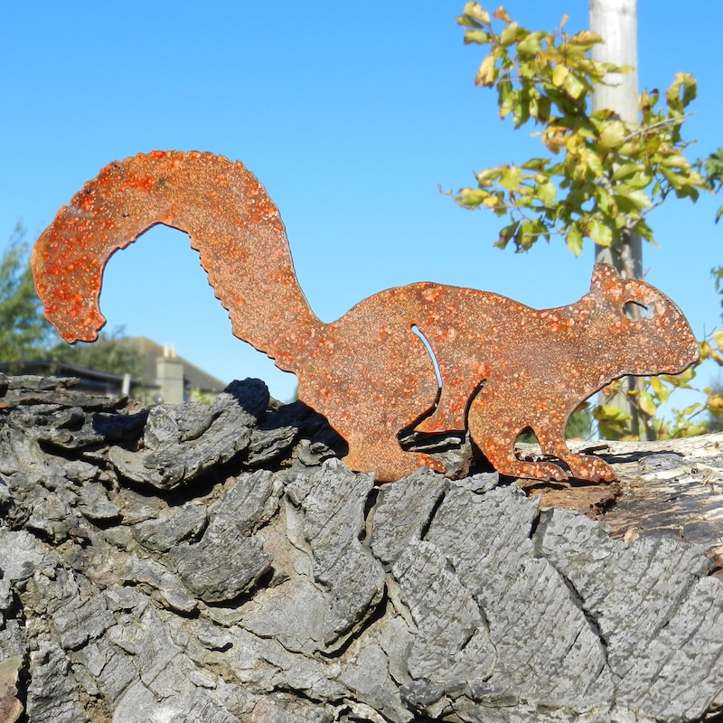 Squirrel Outdoor Decor - Etsy