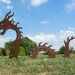 Rusty Metal Dragon Garden Sculpture / Sea Serpent Garden Sculpture ...