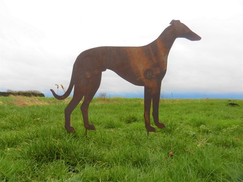 Rusty Metal Greyhound Garden Sculpture / Metal Greyhound Garden Art ...