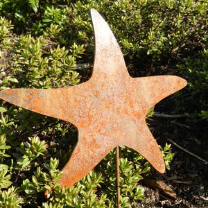 Rustic Starfish Pond Decor / Beach Decor / Star Fish Sculpture ...