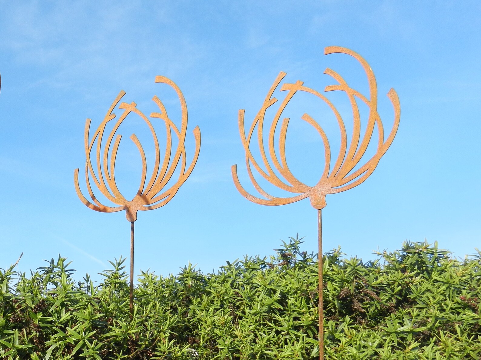 Rusty Metal Wild Flower Seed Head / Metal Seed Head Garden Art | Etsy UK