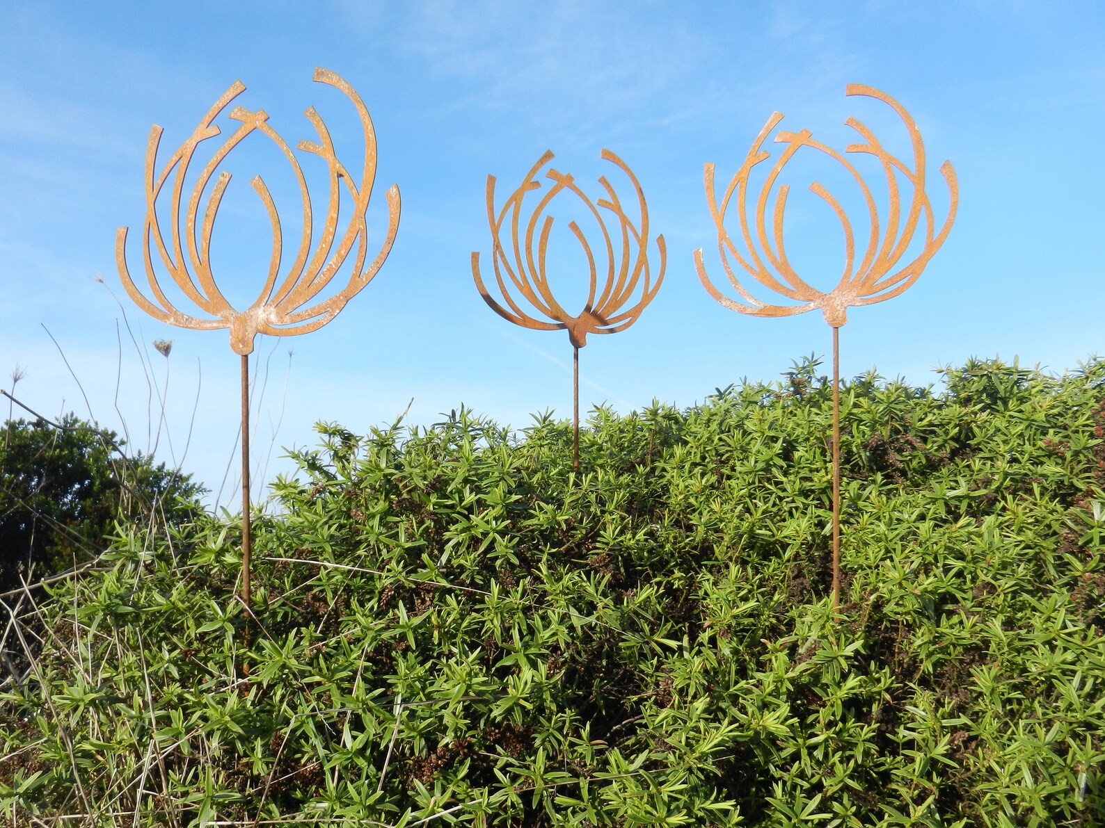 Rusty Metal Wild Flower Seed Head / Metal Seed Head Garden Art | Etsy UK
