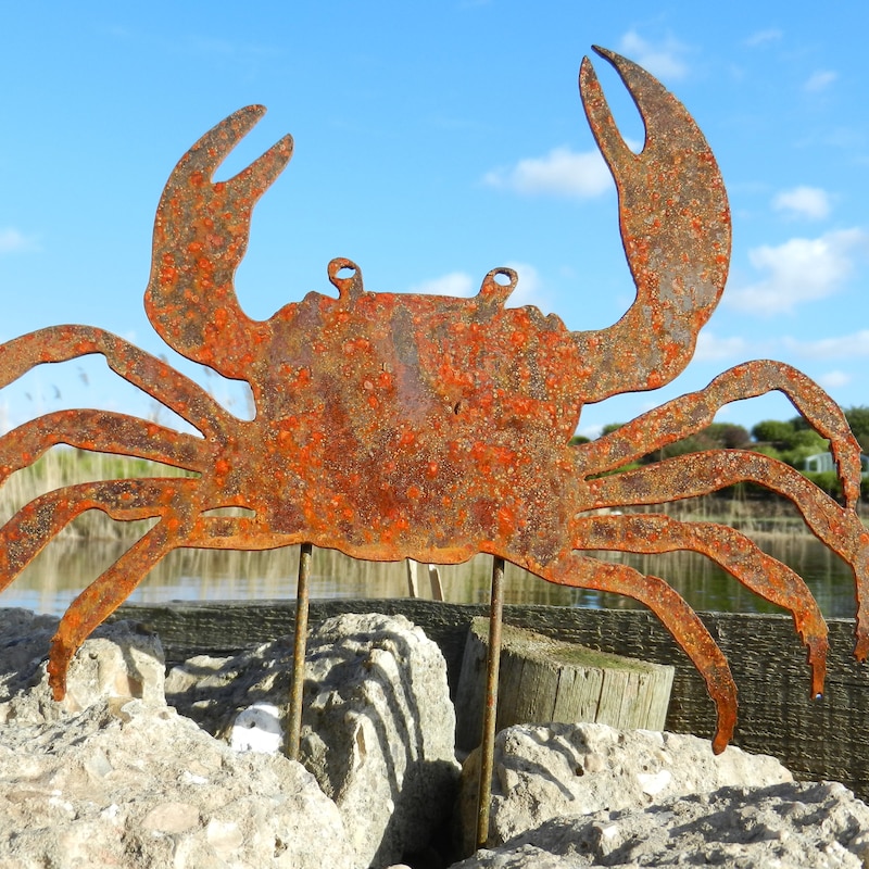 Crab Decor - Etsy