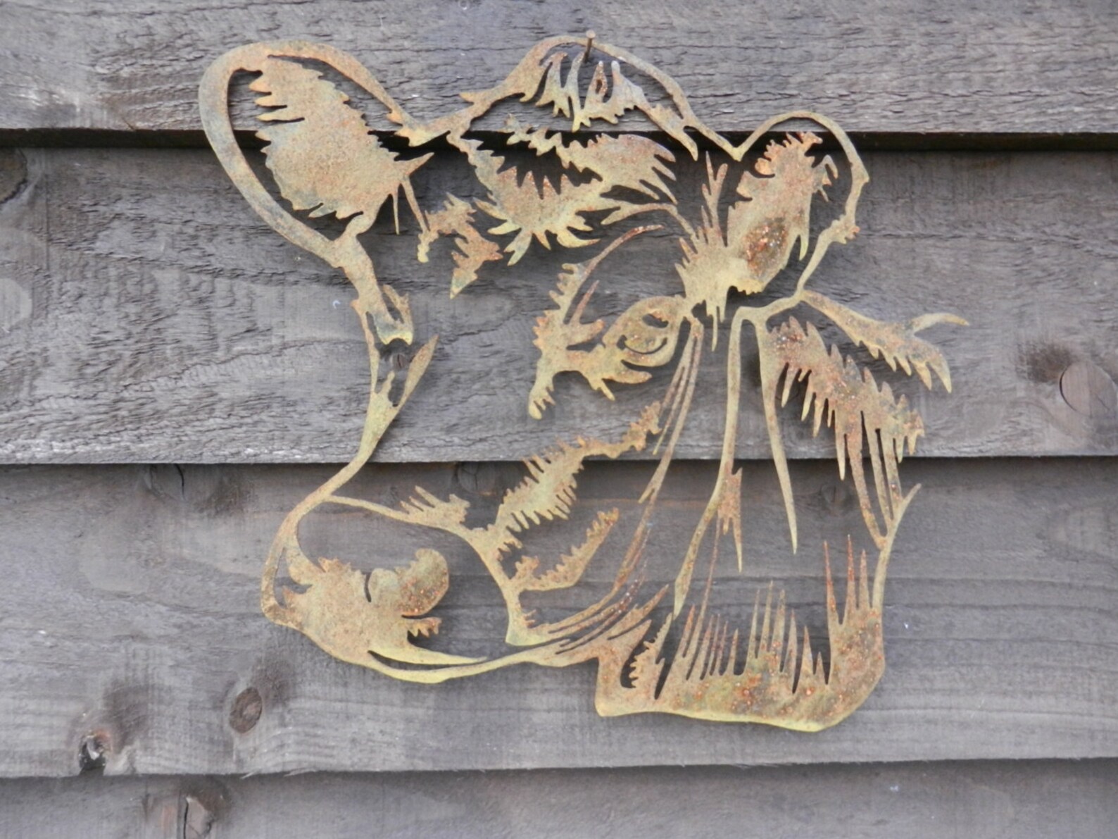 Cow Head / Rusty Metal Cow Garden Decor / Red Lincoln Cattle - Etsy UK