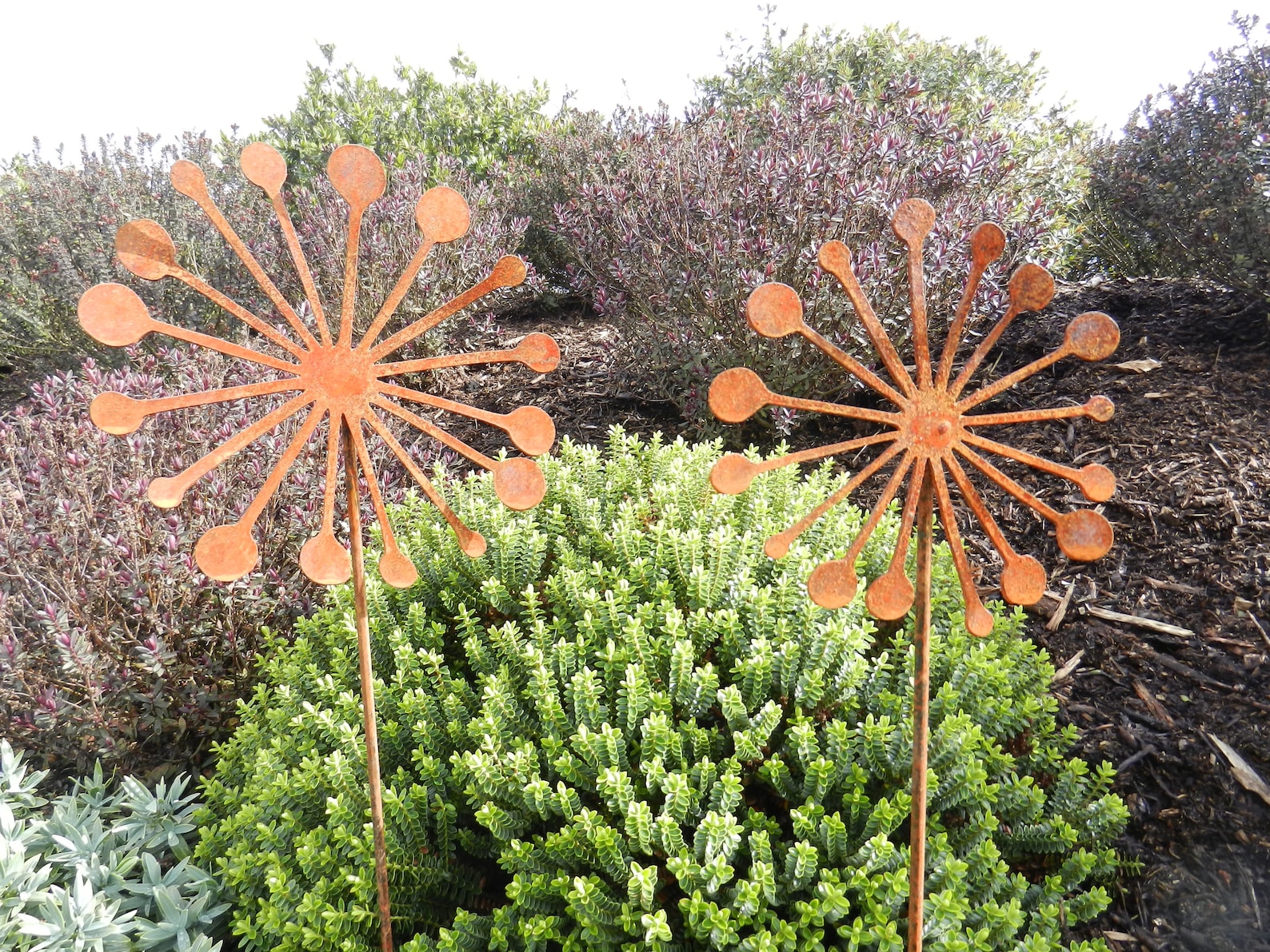 Rusty Metal Allium Sculpture / Metal Seed Head Garden Stake / - Etsy