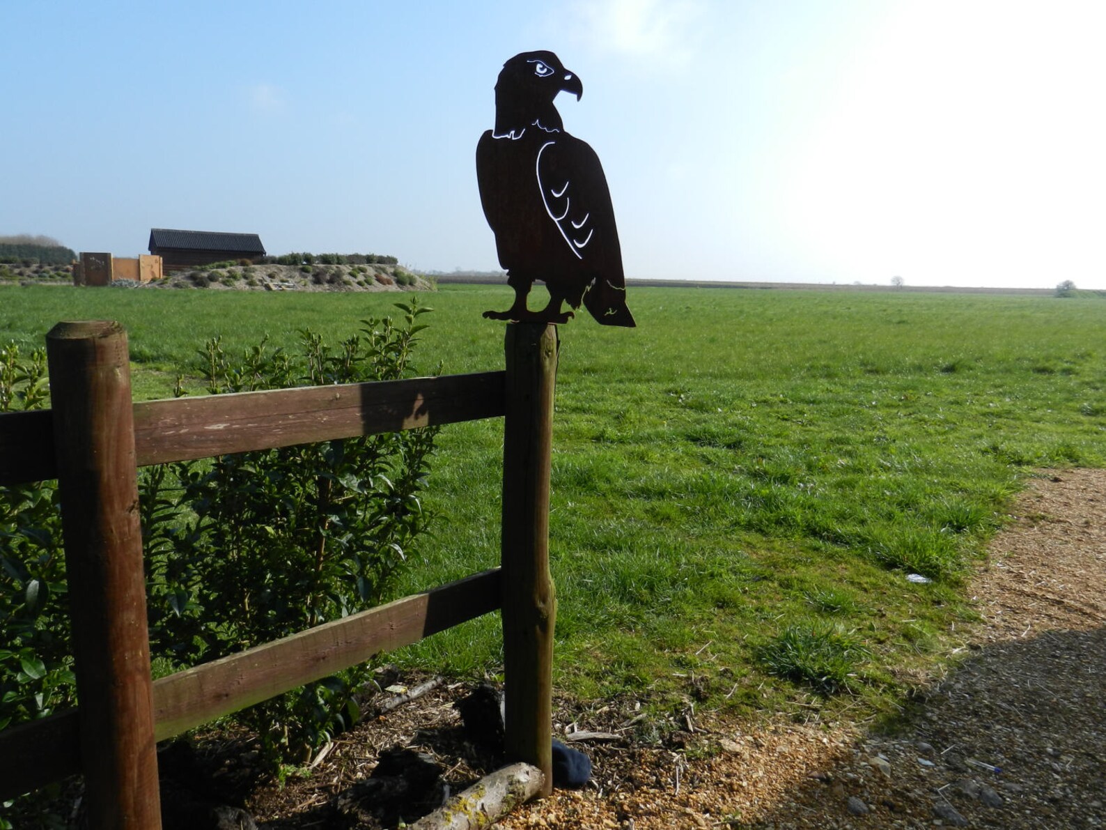 Rusty Metal Bald Eagle Garden Decor / American Bald Eagle - Etsy