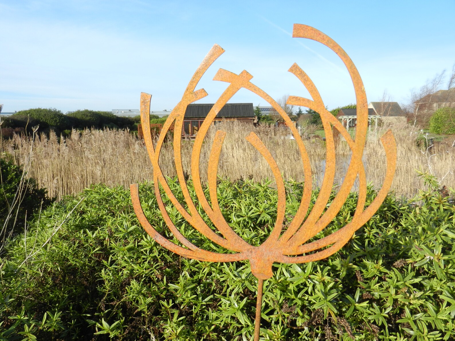 Rusty Metal Wild Flower Seed Head / Metal Seed Head Garden Art | Etsy UK