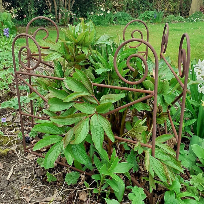 Rustic Hurdle Plant Support / Garden Edging / Rusty Metal - Etsy
