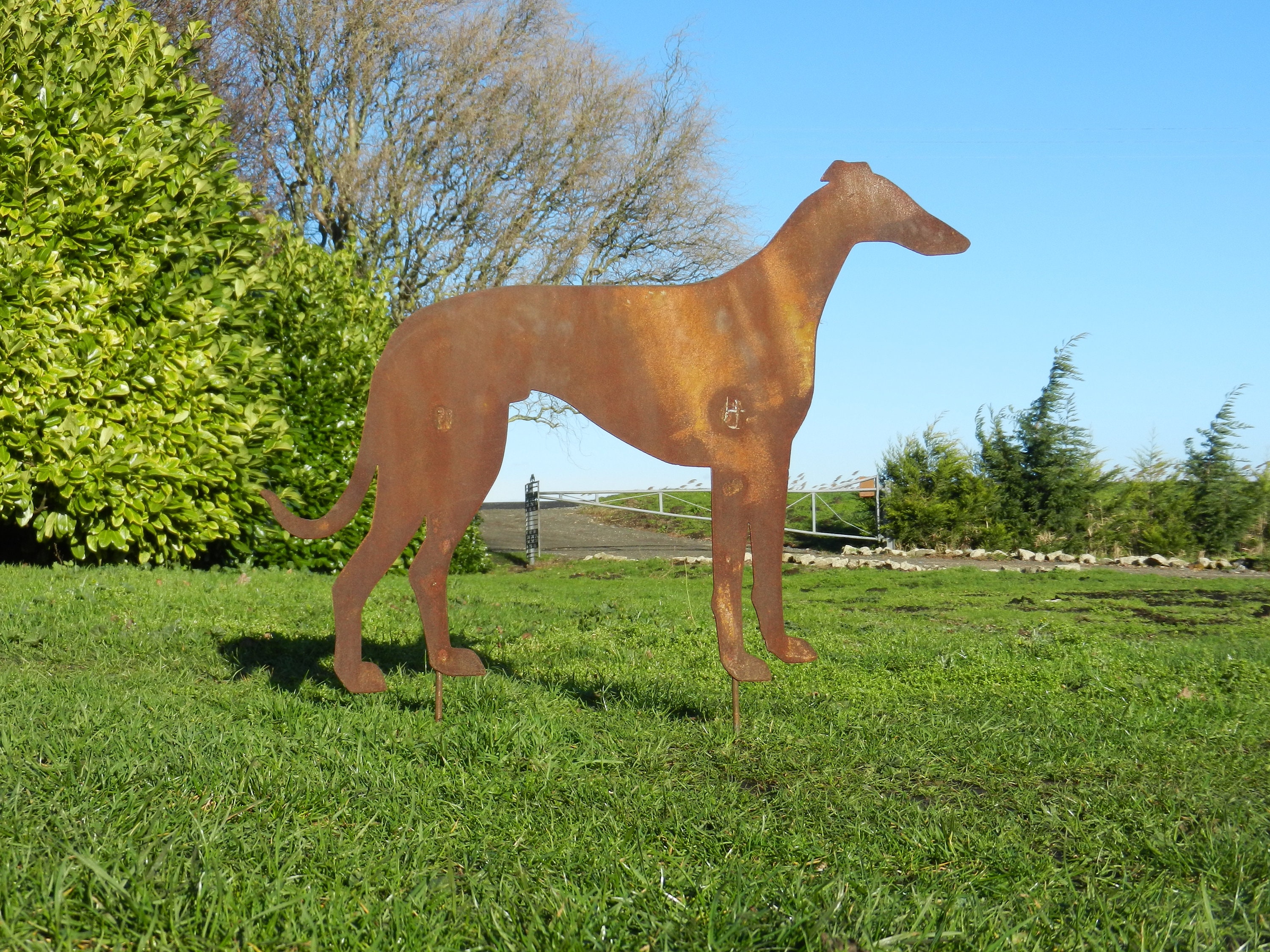 Rusty Metal Greyhound Garden Sculpture / Metal Greyhound Garden Art ...