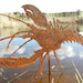 Rusty Lobster Seaside Decor / Rusty Metal Lobster Sculpture / Rusty ...