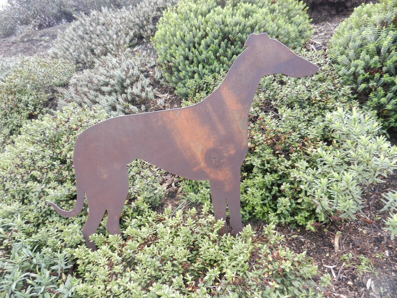 Rusty Metal Greyhound Garden Sculpture / Metal Greyhound Garden Art ...