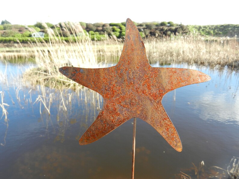 Rustic Starfish Pond Decor / Beach Decor / Star fish Sculpture | Etsy