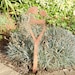 Robin on Spade Garden Decoration / Bird Garden Gift / Rusty Metal Robin ...