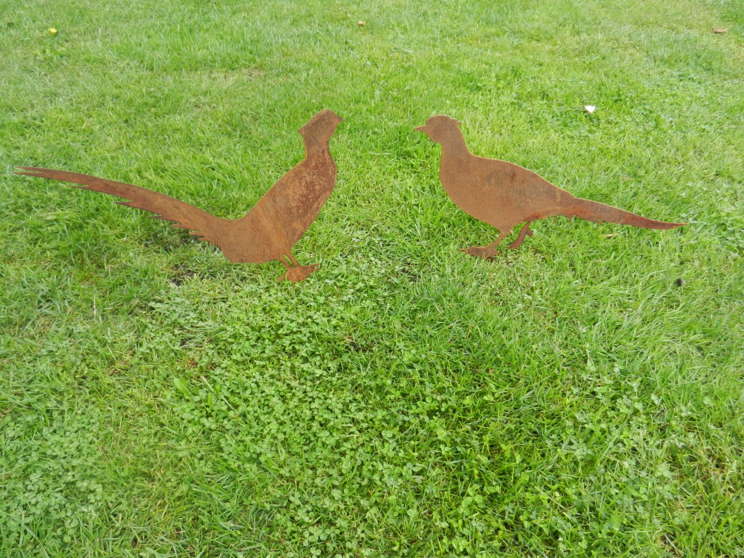 Rusty Metal Pheasant Garden Decor / Rustic Pheasant Garden Sculpture ...