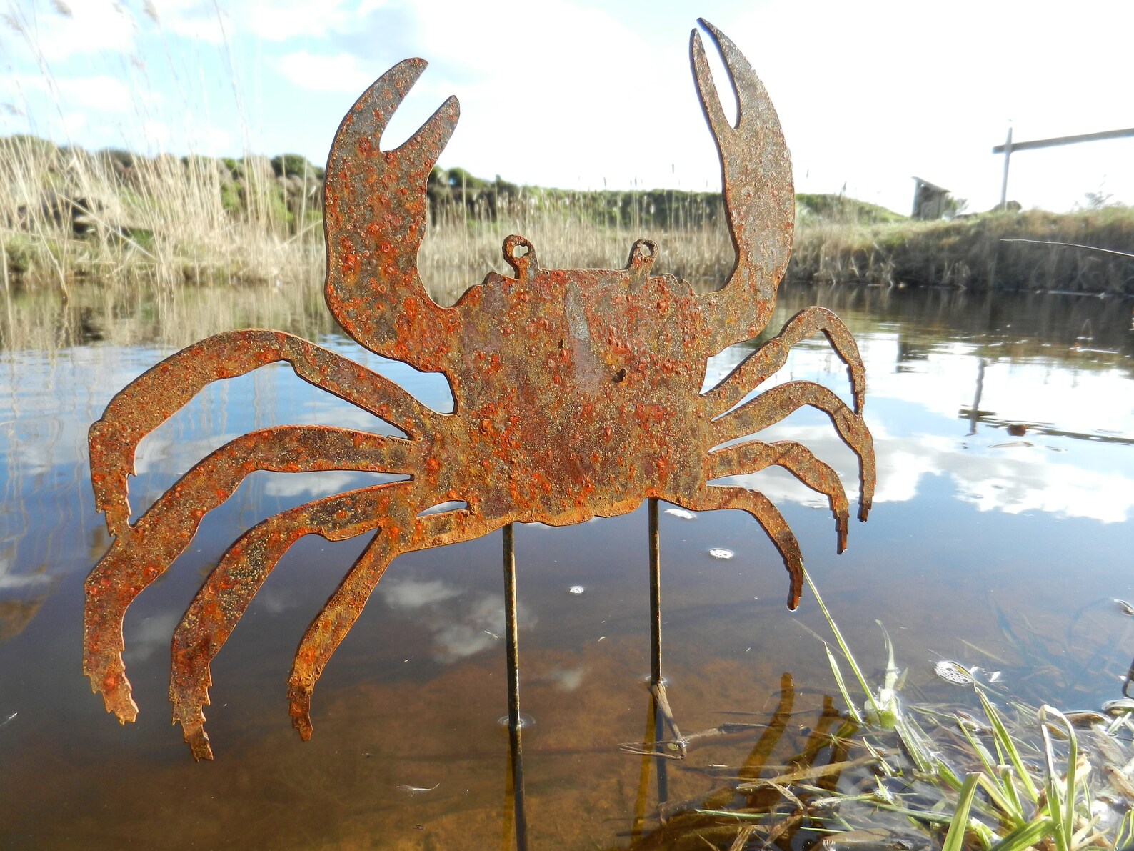 Rusty Crab Seaside Decor / Rusty Metal Crab Sculpture / Rusty - Etsy