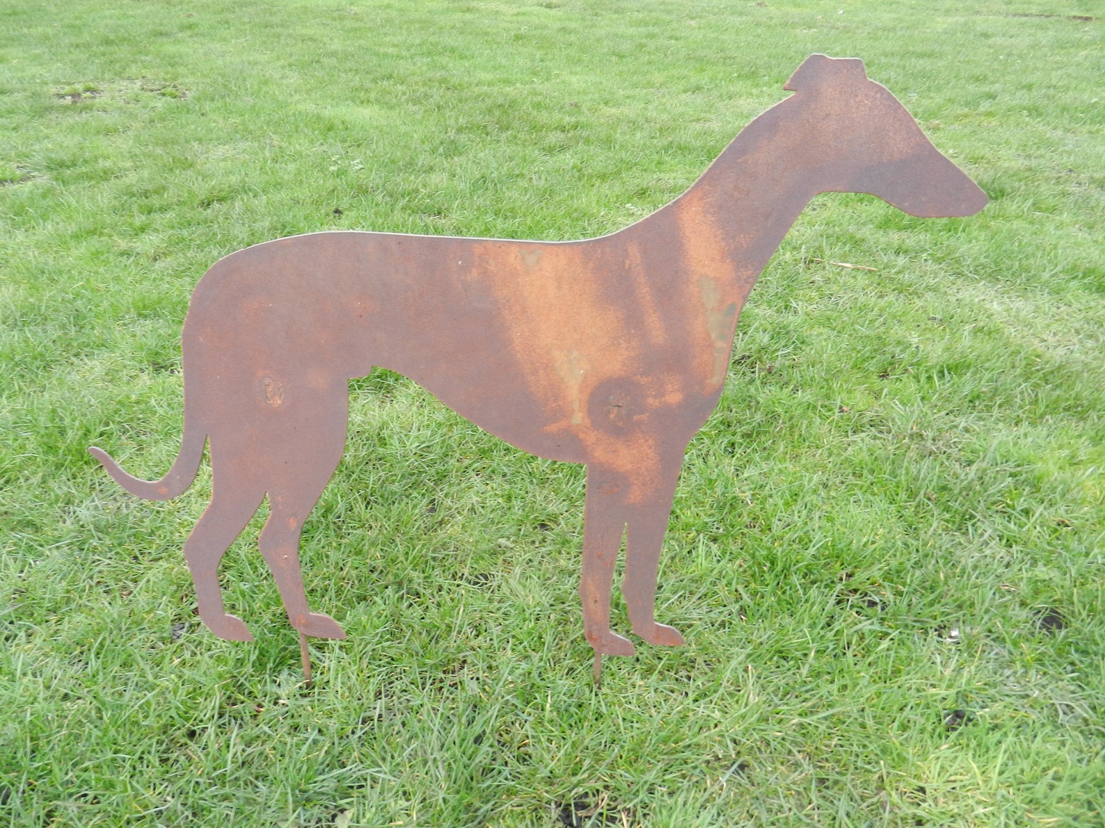 Rusty Metal Greyhound Garden Sculpture / Metal Greyhound | Etsy