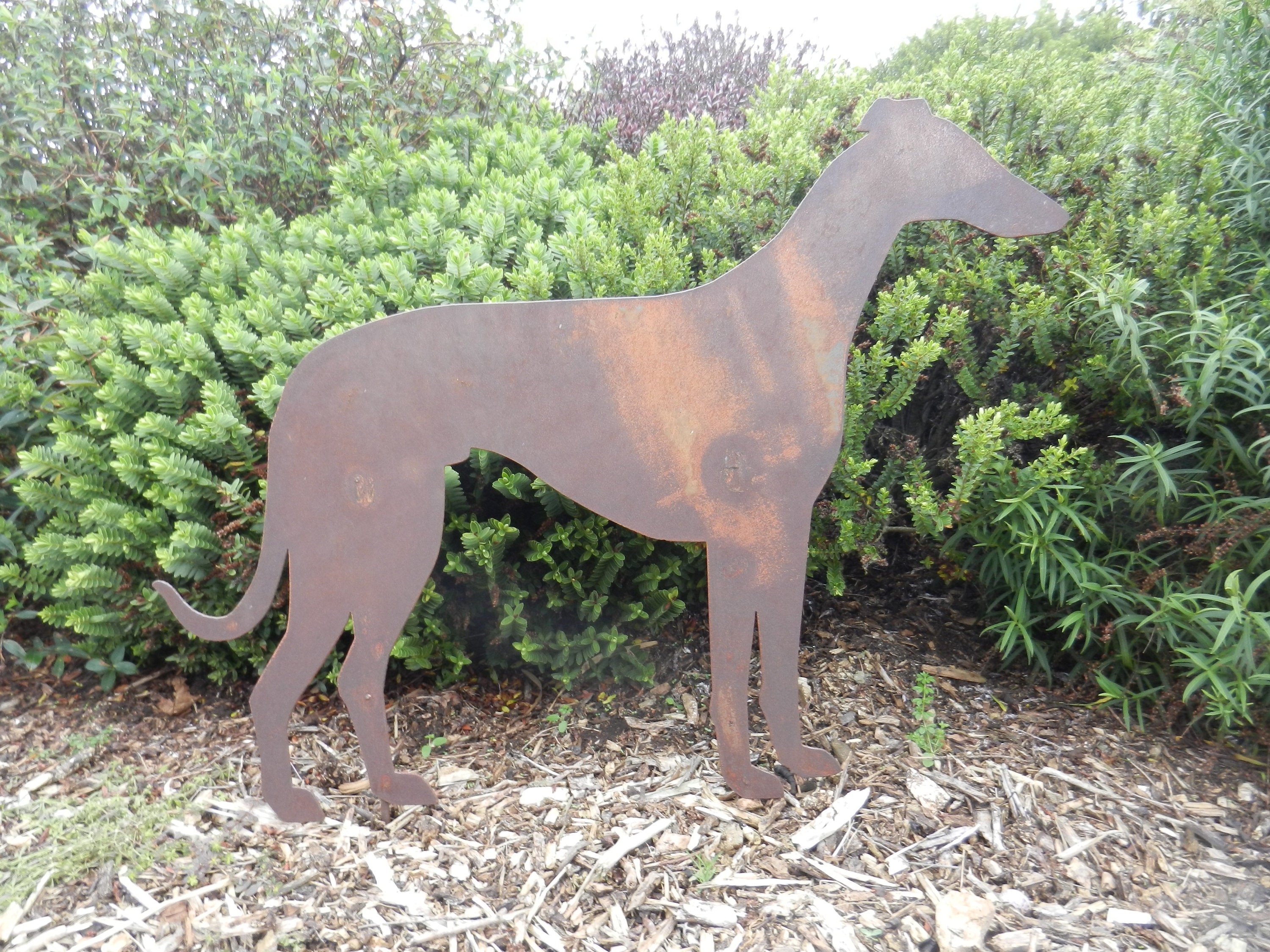 Rusty Metal Greyhound Garden Sculpture / Metal Greyhound Garden Art ...
