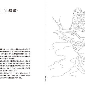 Adult Sketch Coloring Book Wild Birds of Japan Cute Bird - Etsy