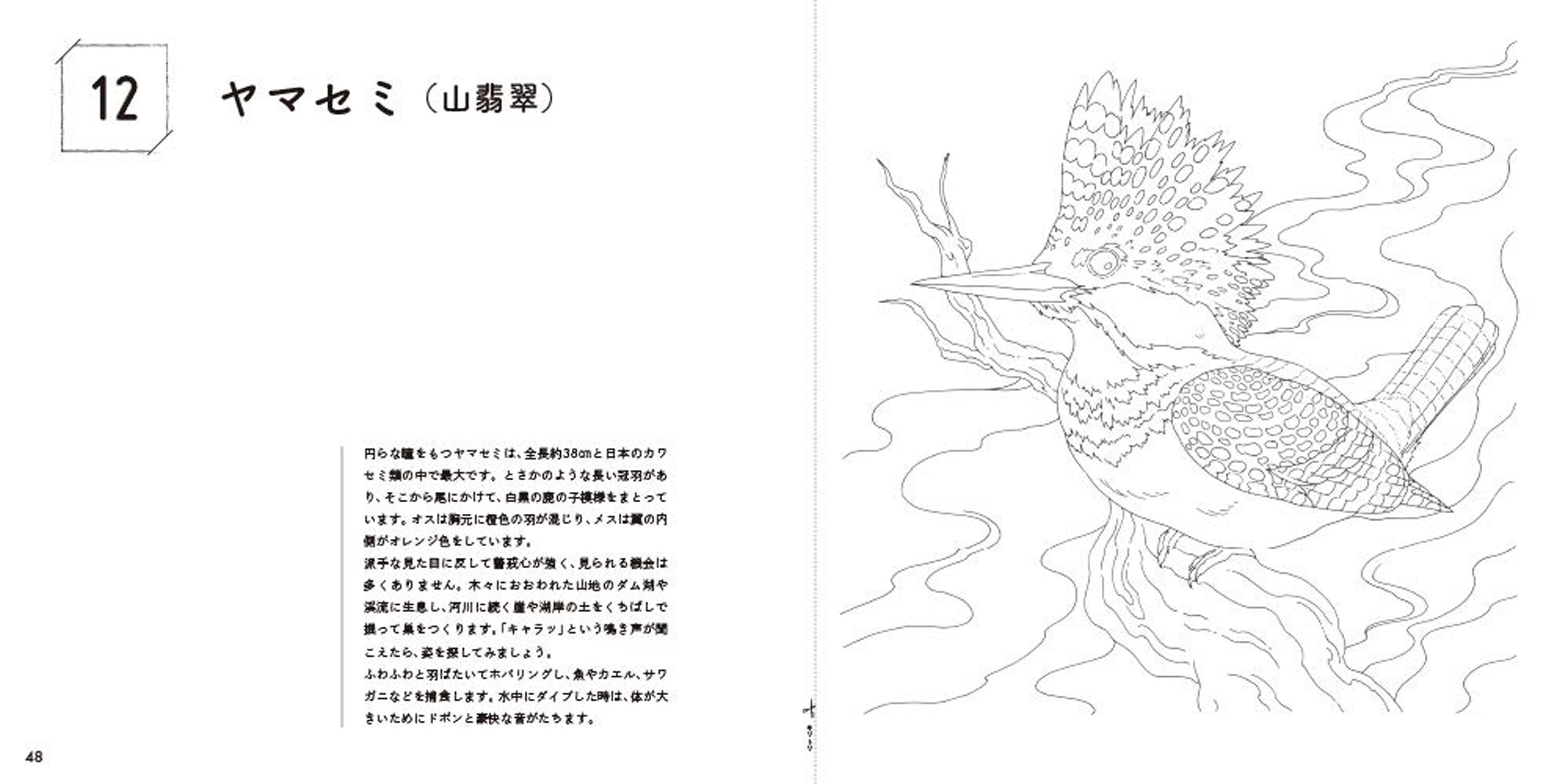 Adult Sketch Coloring Book Wild Birds of Japan Cute Bird - Etsy