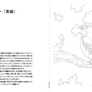 Adult Sketch Coloring Book Wild Birds of Japan Cute Bird - Etsy