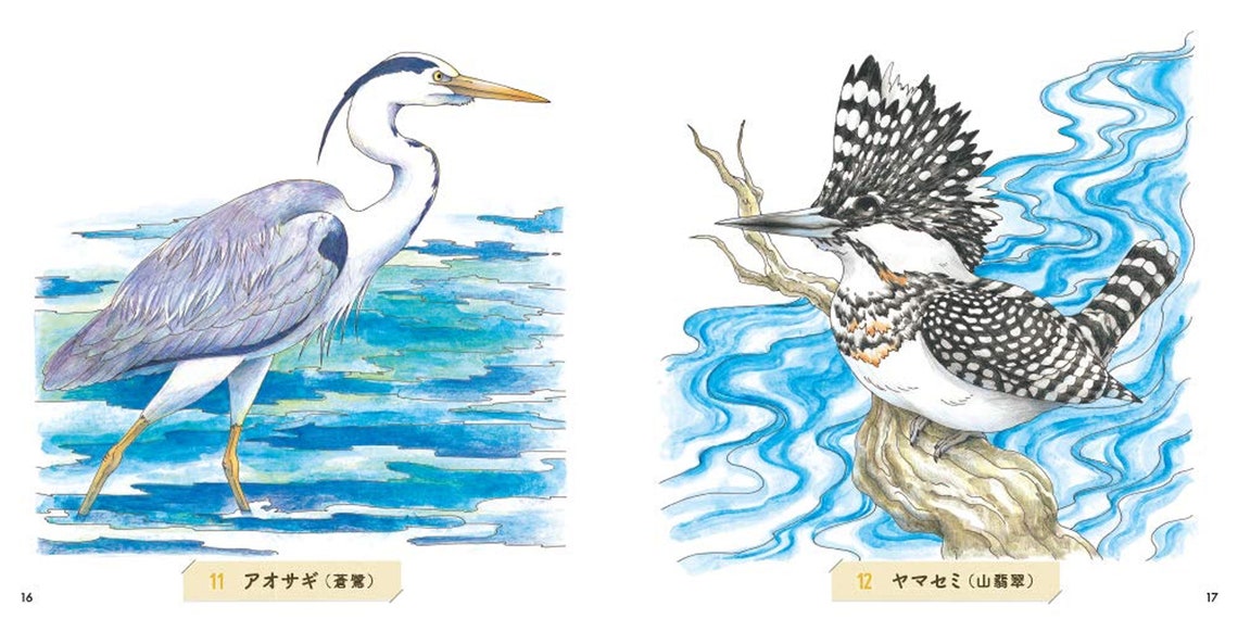Adult Sketch Coloring Book Wild Birds of Japan Cute Bird - Etsy