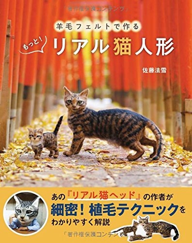 Home & Hobby Craft Supplies & Tools Felt Realistic CATS textbook ...