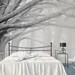 Big Gray Trees Black and White Wallpaper Modern Home Decor Large Murals ...