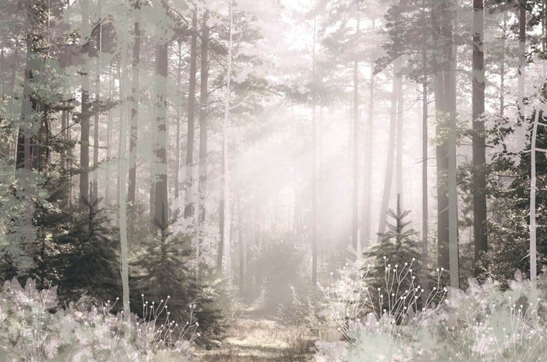 Grove Black White Trees Grey Forest Wallpaper Modern Wall - Etsy