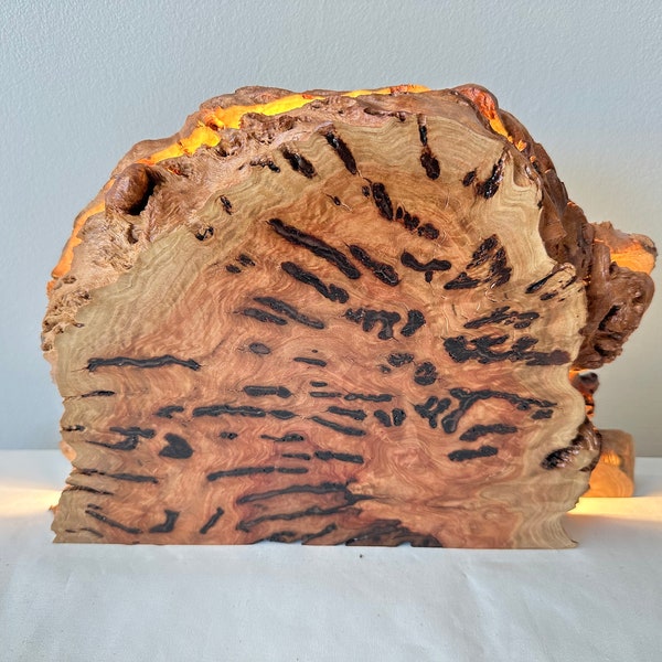 Burl Lamp - Etsy