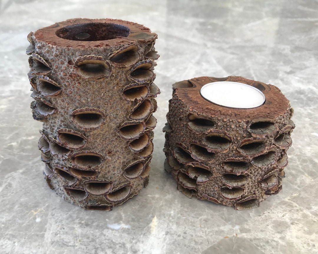 Banksia Tea Light Candle Holder and Decorative Vase - Etsy